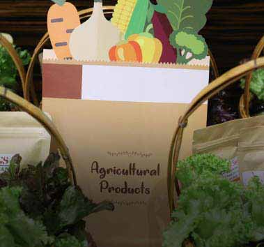 Packaging Design for Agriculture Products | HitechDigital