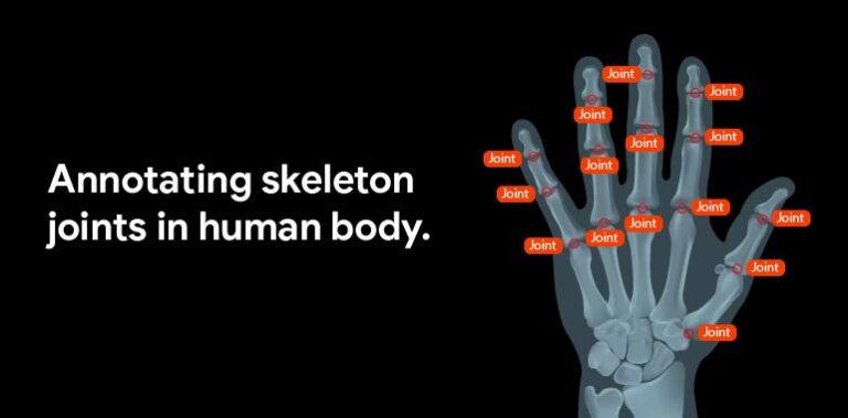 The Power of Image Annotation Types Transforming AI | HitechDigital