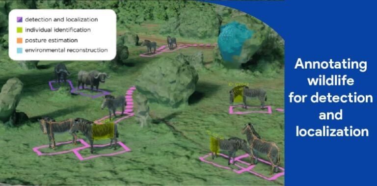 The Power of Image Annotation Types Transforming AI | HitechDigital